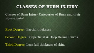 A detailed study on burns /all about burns ( manag, treat, preven ...