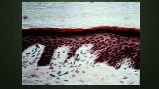 A detailed study on burns /all about burns ( manag, treat, preven ...
