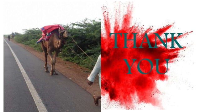 Hematemesis- vomiting of blood , a brief study | PPTX | Digestive ...