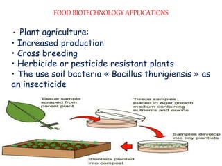 Introduction to Food Biotechnology | PPTX