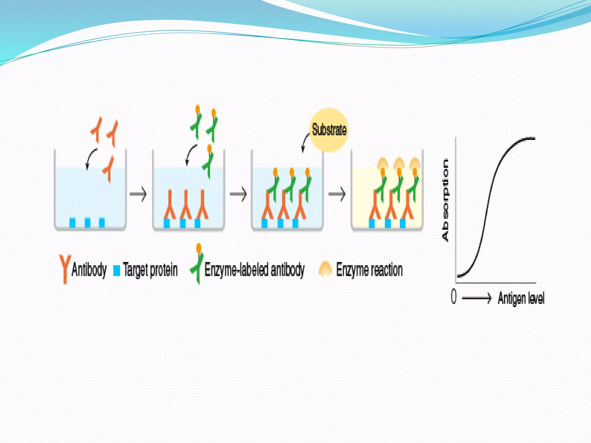 IMMUNOLOGICAL TECHNIQUES | PPTX