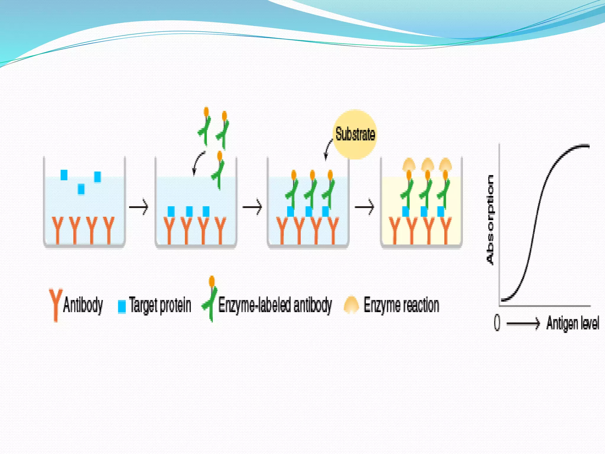 IMMUNOLOGICAL TECHNIQUES | PPTX