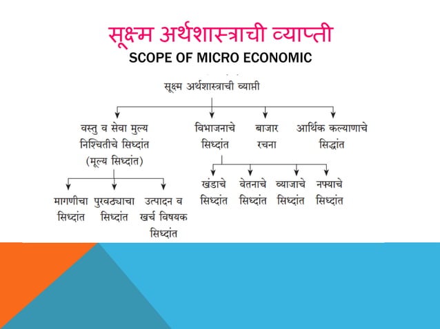 MIcro Economics Introduction, Meaning,Scope, Importance, | PDF