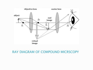 microscopy/type of microscopy | PPT