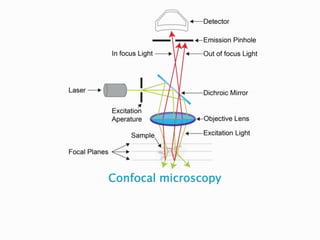 microscopy/type of microscopy | PPT