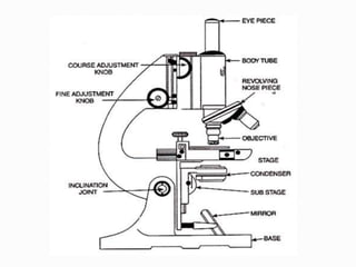 microscopy/type of microscopy | PPT