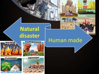 Disaster Management | PPTX