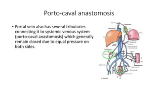 Portal Hypertension | PPTX