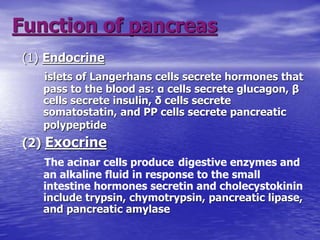 Histology & Function of The Pancreas | PPT