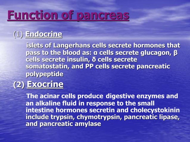 Histology & Function of The Pancreas | PPT