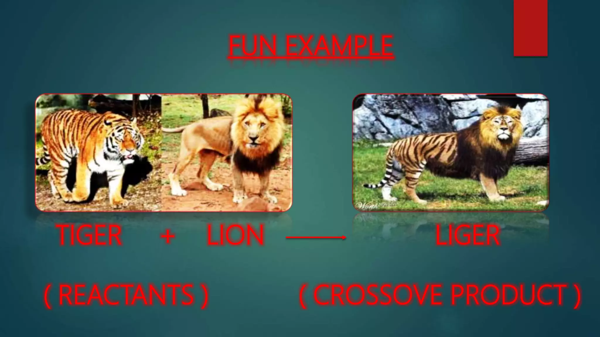 CROSSOVER EXPERIMENTS - Chemistry | PPTX