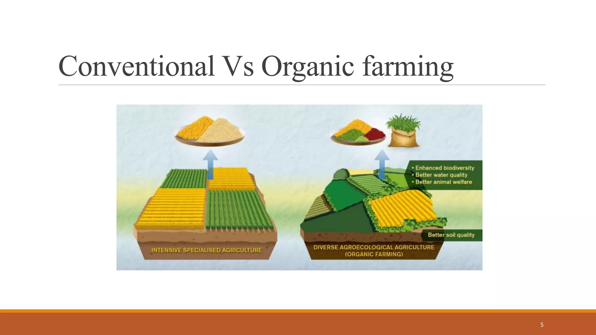 Soil Nutrition Management in Organic Farming | PPTX