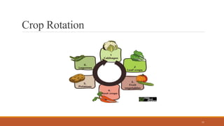 Soil Nutrition Management in Organic Farming | PPTX