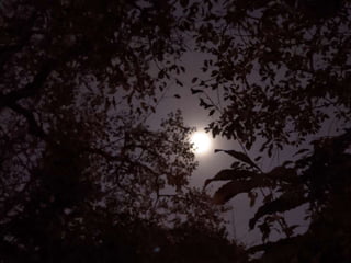 Moon Shots or Snaps of the Moon Taken at Night. | PPT