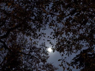 Moon Shots or Snaps of the Moon Taken at Night. | PPT