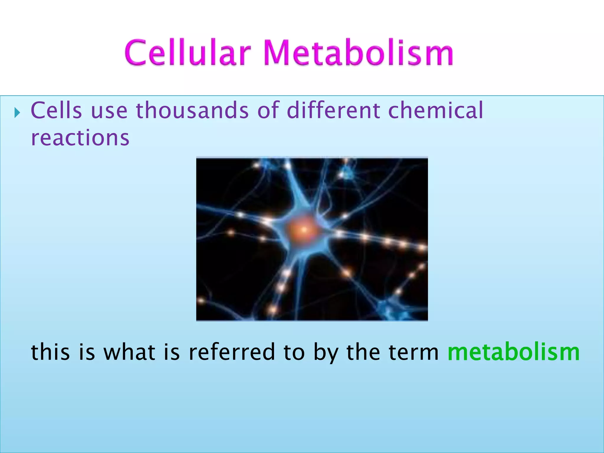 Bioenergetics | PPT
