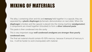 Amalgam Fillings | PPTX | Oral care | Personal Care