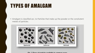 Amalgam Fillings | PPTX | Oral care | Personal Care