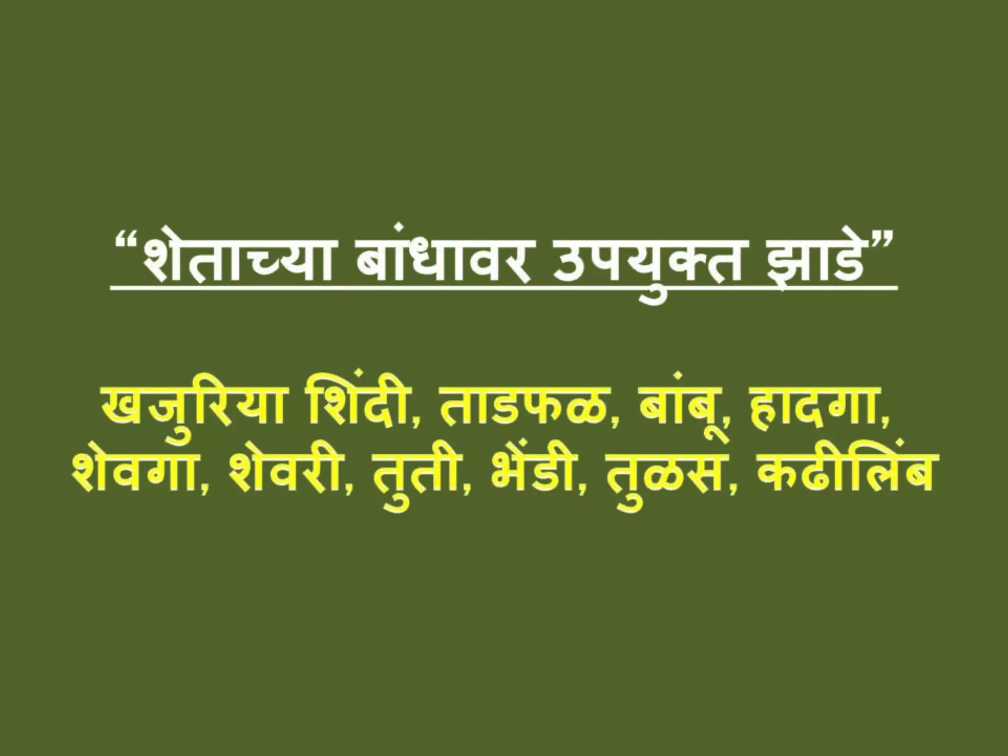 Essential Trees (Marathi) | PPTX