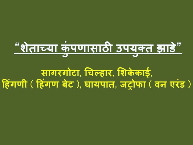 Essential Trees (Marathi) | PPTX