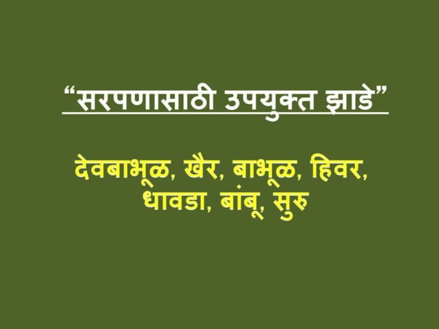 Essential Trees (Marathi) | PPTX