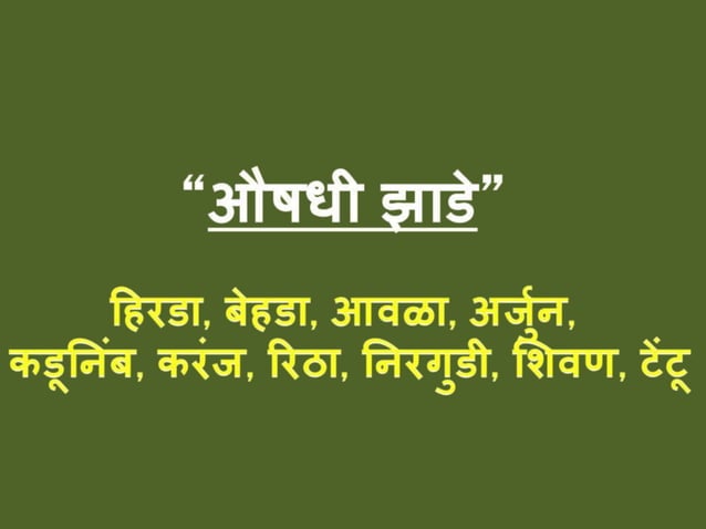 Essential Trees (Marathi) | PPTX