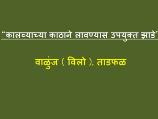 Essential Trees (Marathi) | PPTX