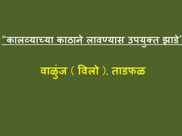 Essential Trees (Marathi) | PPTX