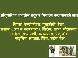 Essential Trees (Marathi) | PPTX