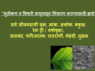 Essential Trees (Marathi) | PPT