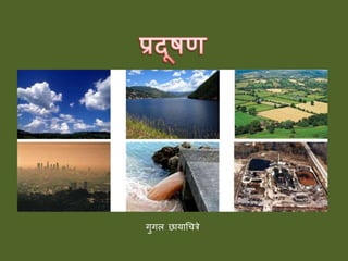 Essential Trees (Marathi) | PPTX