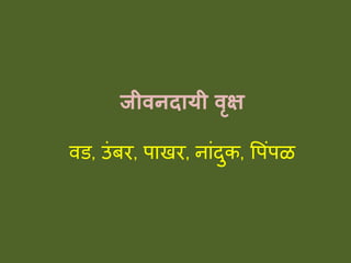 Essential Trees (Marathi) | PPTX