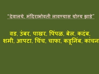 Essential Trees (Marathi) | PPTX