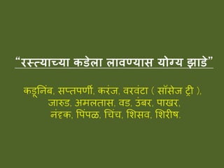 Essential Trees (Marathi) | PPTX