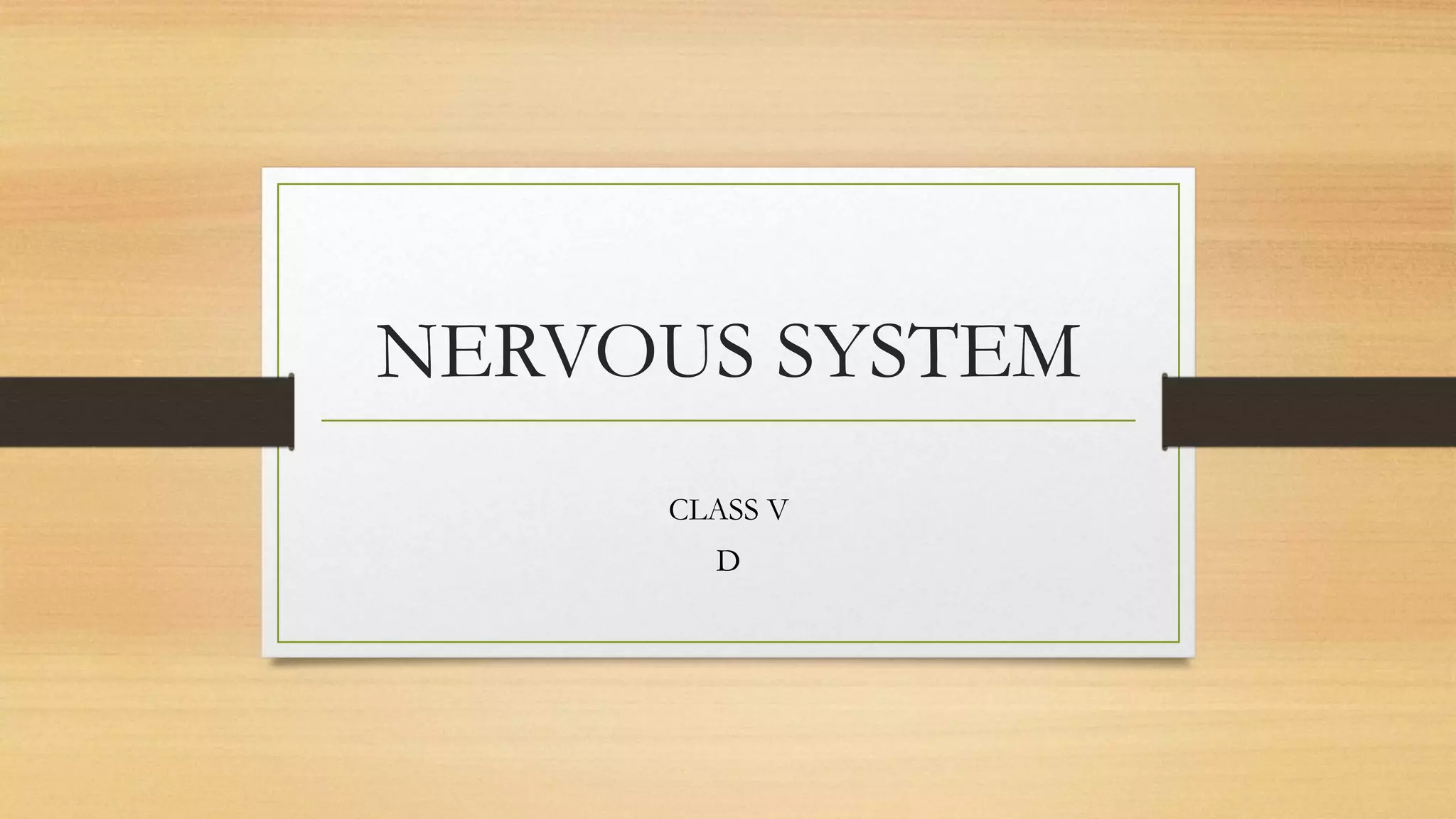 Nervous system - Class V | PPTX