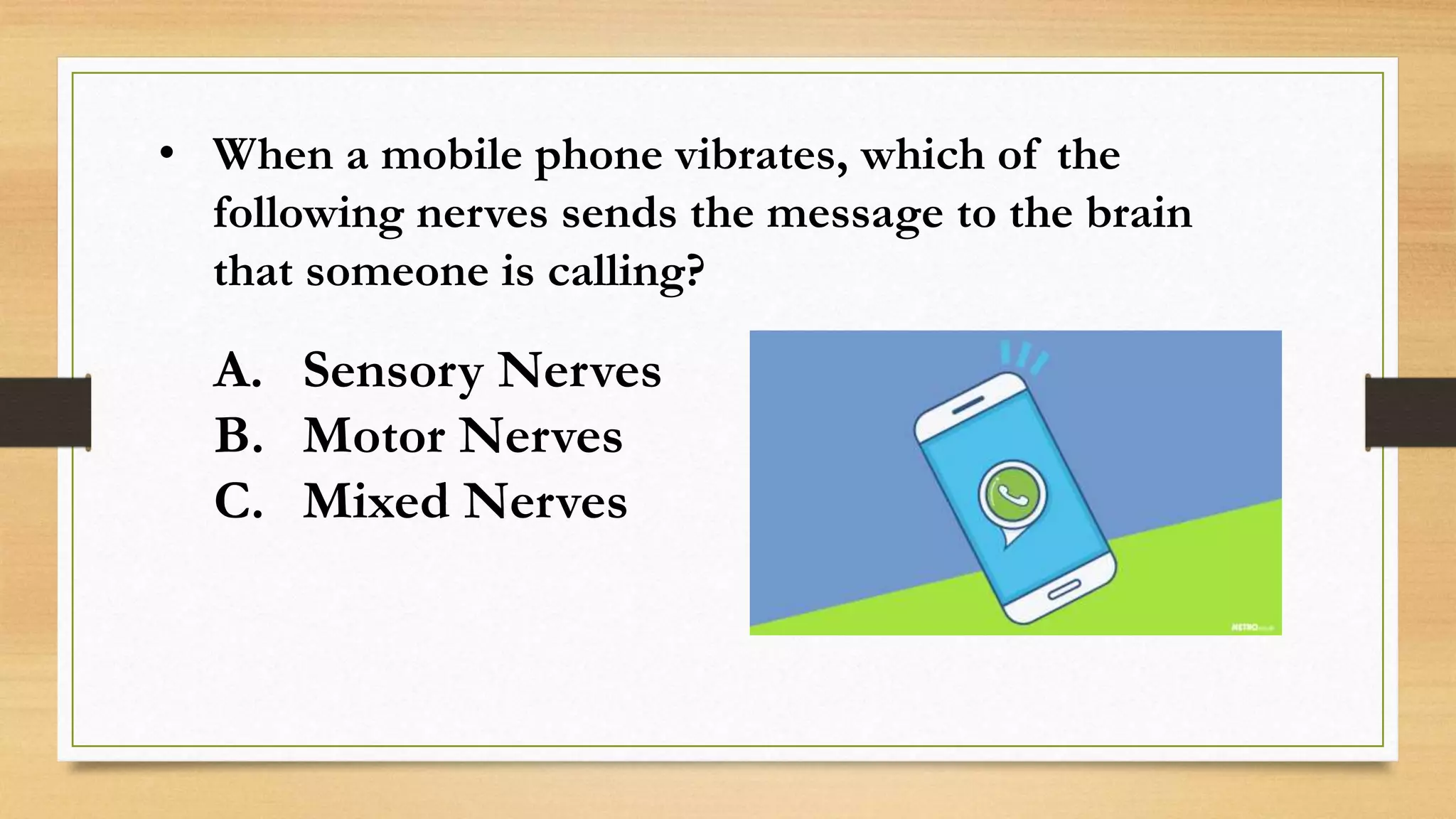 Nervous system - Class V | PPTX