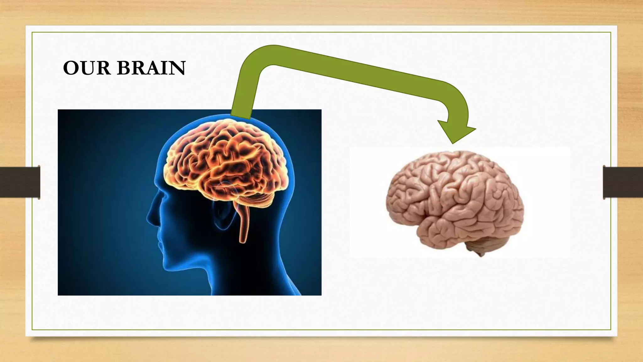 Nervous system - Class V | PPTX