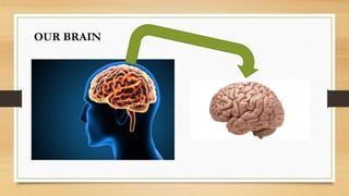 Nervous system - Class V | PPTX
