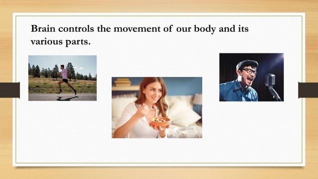 Nervous system - Class V | PPTX