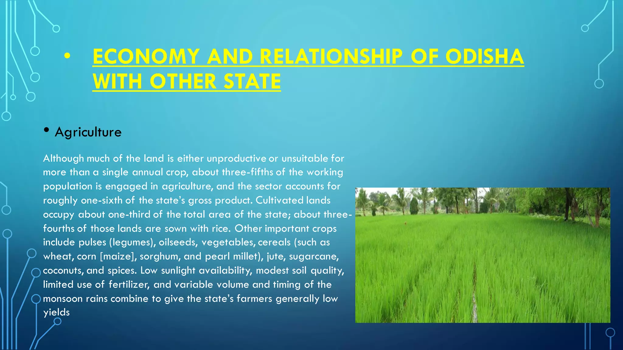 ODISHA CULTURE AND HISTORY | PDF
