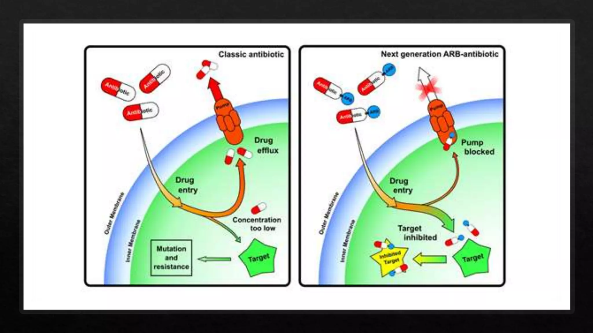 Cell wall Inhibitors - Antibiotic - Penicilin | PPT