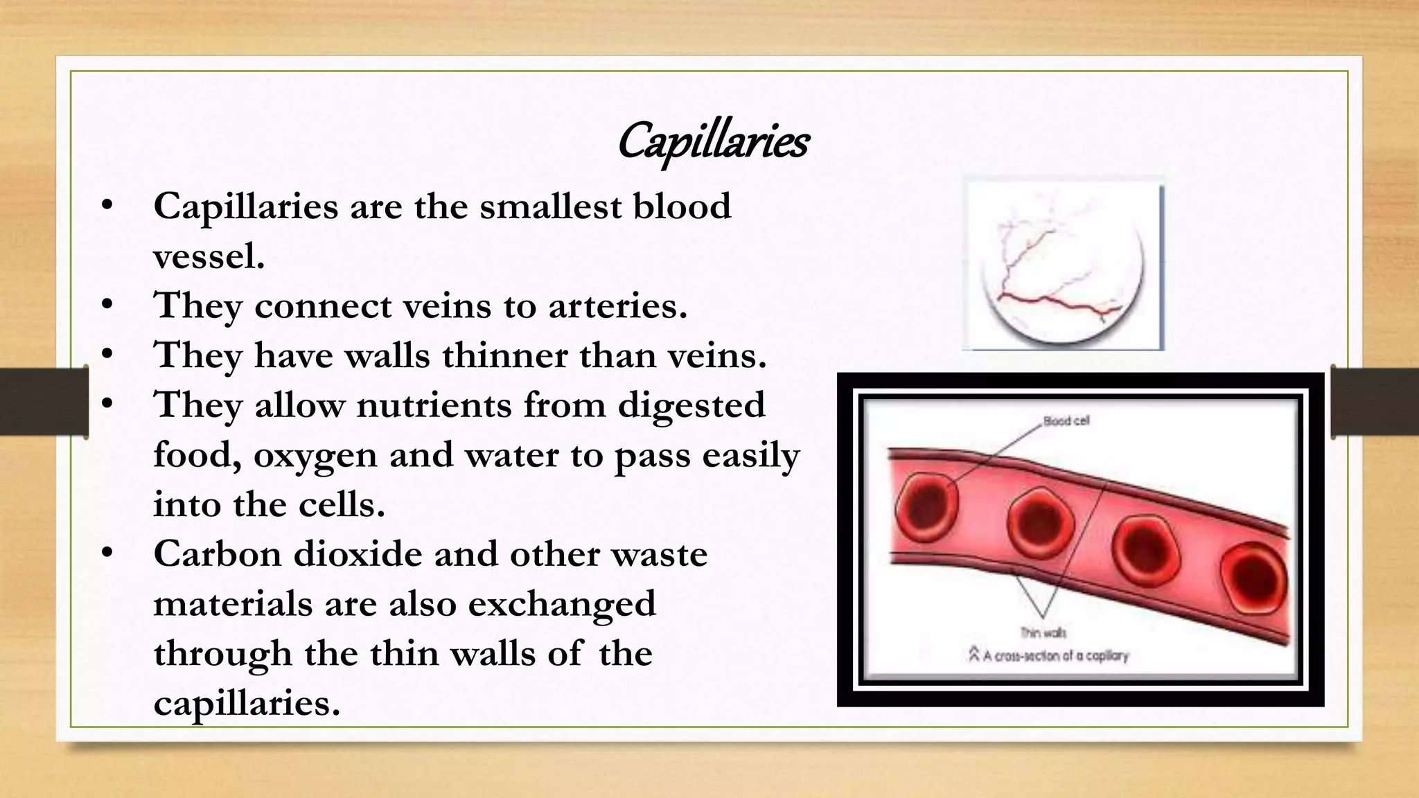 SCIENCE - CIRCULATORY SYSTEM (CLASS V - IGCSE) | PPTX