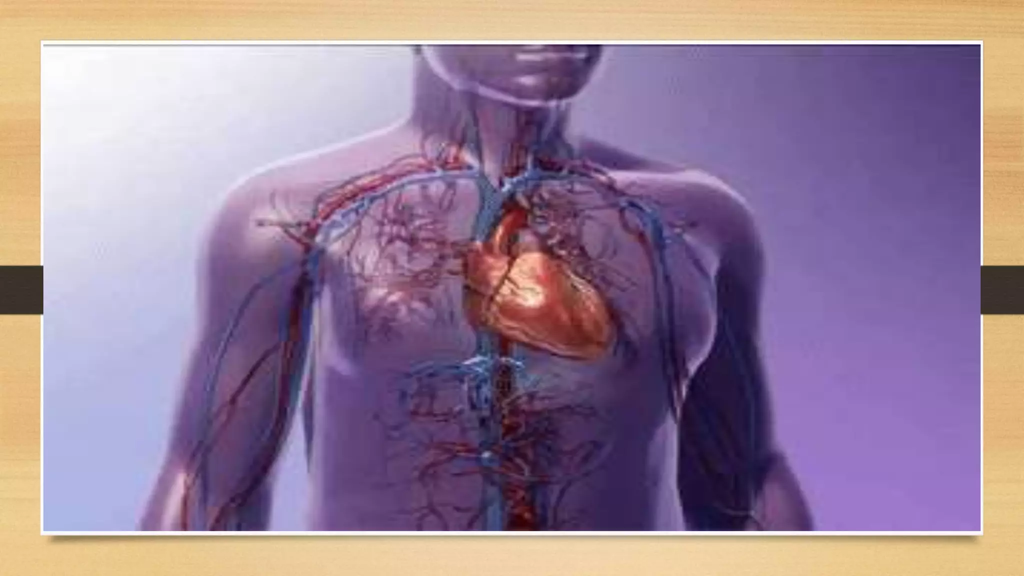 SCIENCE - CIRCULATORY SYSTEM (CLASS V - IGCSE) | PPTX