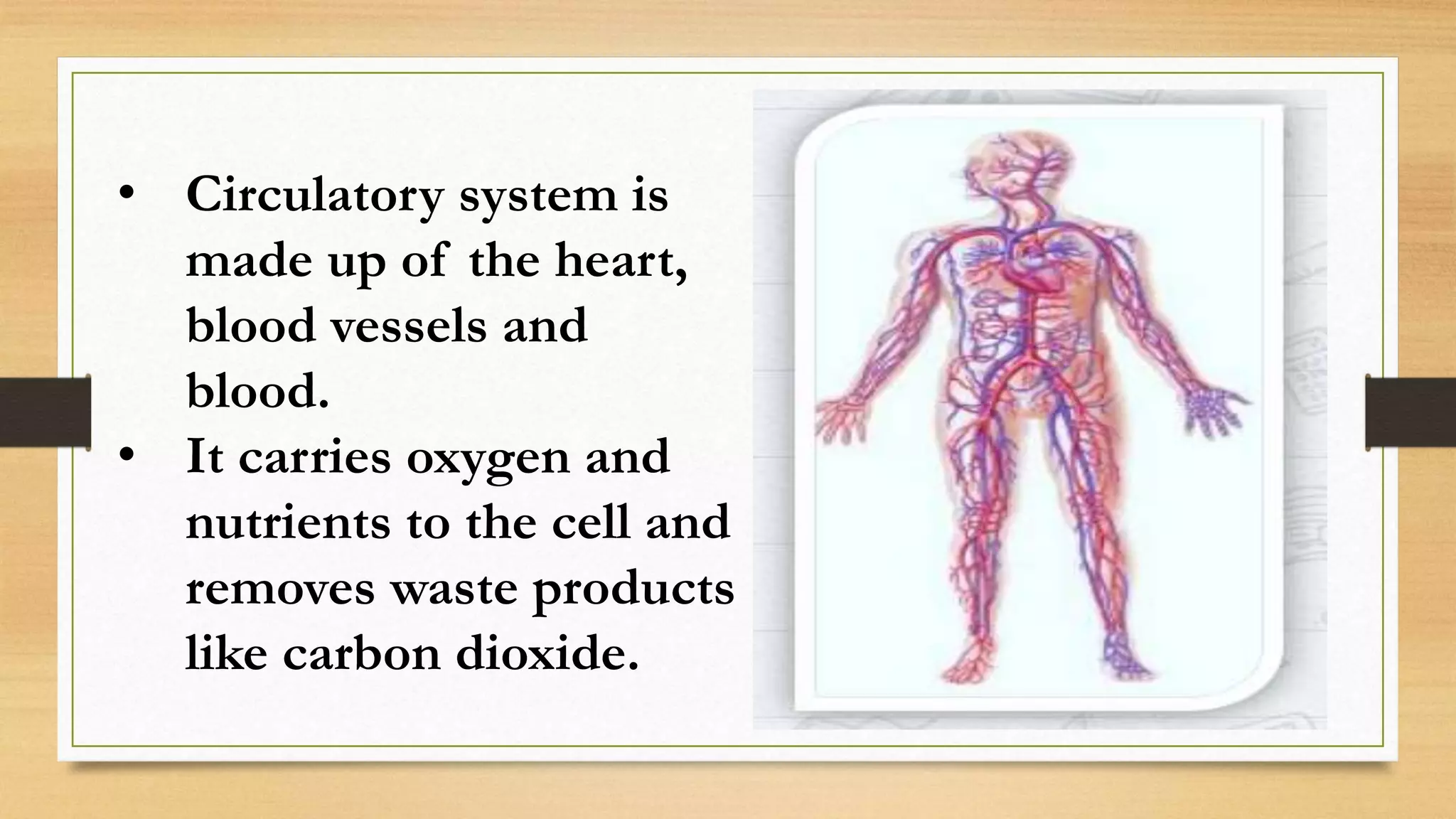 SCIENCE - CIRCULATORY SYSTEM (CLASS V - IGCSE) | PPTX | Heart and ...
