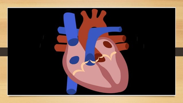 Science Circulatory System Class V Igcse Pptx Heart And Cardiovascular Diseases