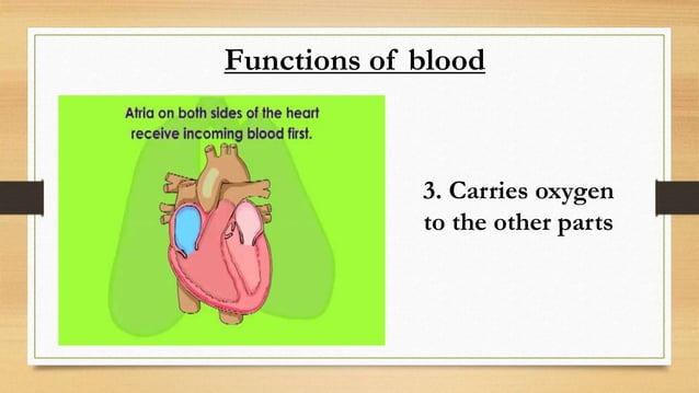 SCIENCE - CIRCULATORY SYSTEM (CLASS V - IGCSE) | PPTX | Heart and ...