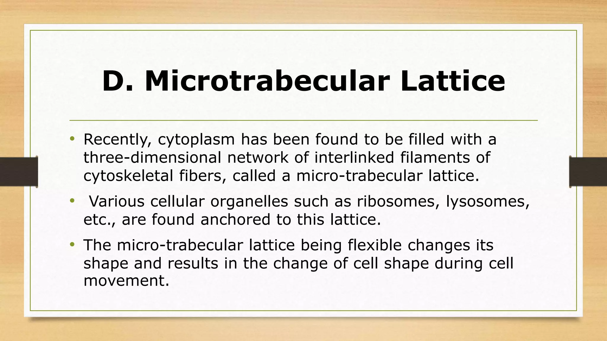 Cytoskeleton | PPTX