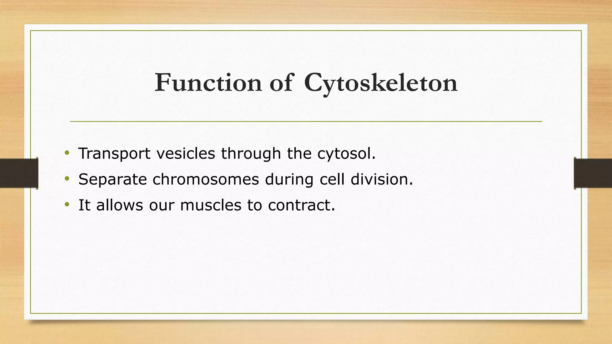 Cytoskeleton | PPTX