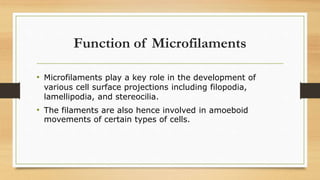 Cytoskeleton | PPTX