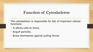 Cytoskeleton | PPTX